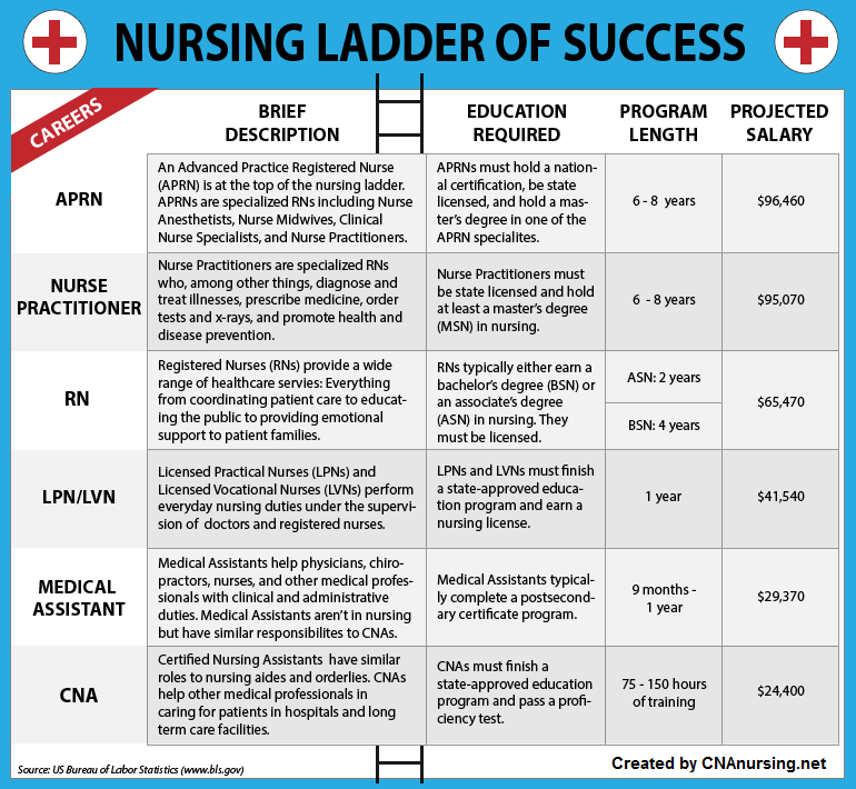 The Degreed Nurse